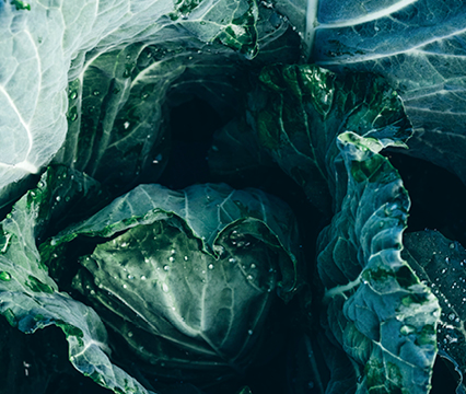 Food & Beverage | Kunde & Co